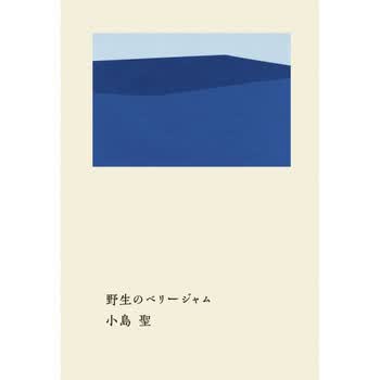 现货原版 野生のベリージャム 野生的果酱 小岛圣旅行美食随笔 文艺生活艺术美学书 日文原版