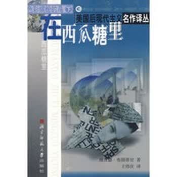 色彩缤纷的鸟(下)在西瓜糖里——美国后现代主义名作译丛 （美）唐纳德·巴塞尔姆,王伟庆 北京师范大学