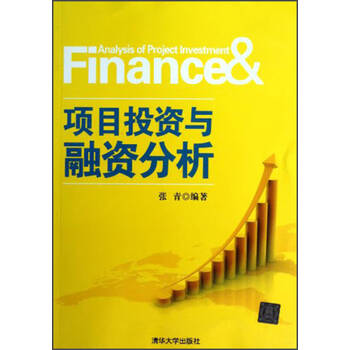 【正版图书】项目投资与融资分析