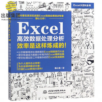 Excel高效数据处理分析(效率是这样炼成的)