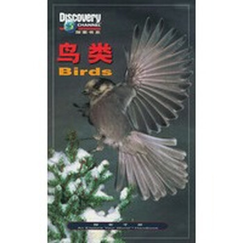探索书系——鸟类