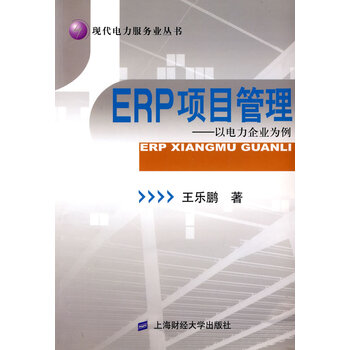 ERP项目管理—以电力企业为例【正版图书】