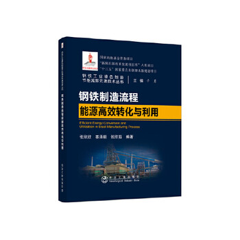 正版书籍 钢铁制造流程能源高效转化与利用张欣欣姜泽毅张欣茹工程研发应用科技管理人员指导书专业本科生研究生教学参考书