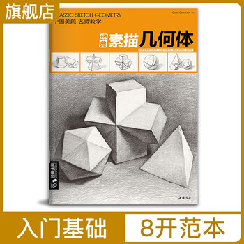《素描几何体》零基础入门教程书石膏静物铅笔素描技法结构艺术美术绘画临摹本经典全集杨建飞主编素描