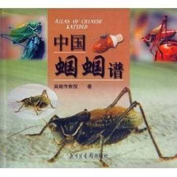 中国蝈蝈谱 吴继传
