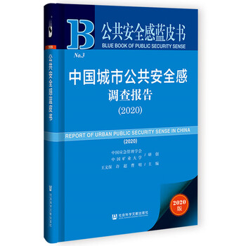 公共安全感蓝皮书：中国城市公共安全感调查报告（2020）