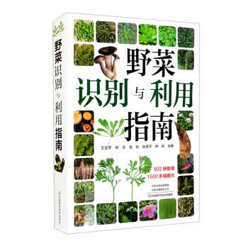 野菜识别与利用指南