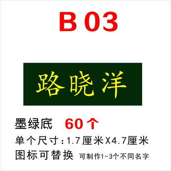 定制迷彩软姓名牌贴学生幼儿园名字贴可缝熨烫体能衣服名字条防丢布标签防水 B15丛林