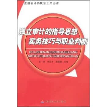 注册会计师执业上岗必读：独立审计的指导思想实务技巧与职业判断 张锐等 著