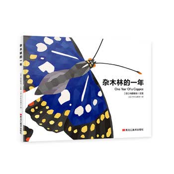 杂木林的一年 【日】向田智也