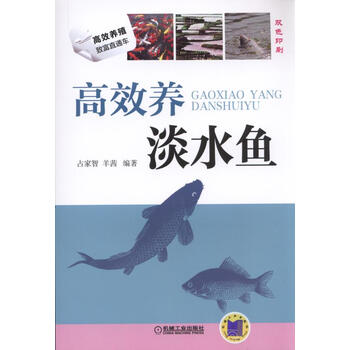高效养淡水鱼