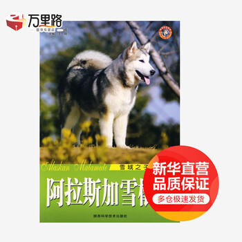 阿拉斯加雪橇犬/雪域之子