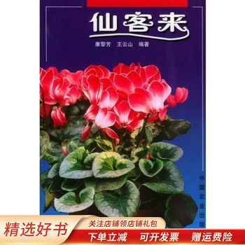 仙客来
