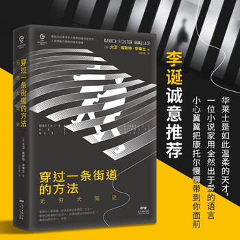 万有引力书系：穿过一条街道的方法：无穷大简史