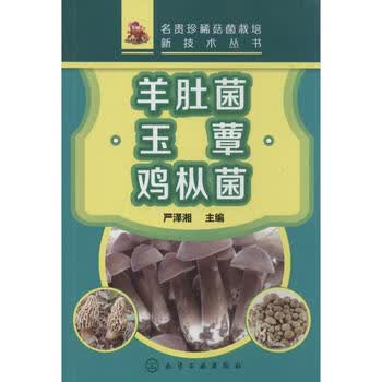 羊肚菌·玉蕈·鸡枞菌  作 严泽湘 主编 书籍