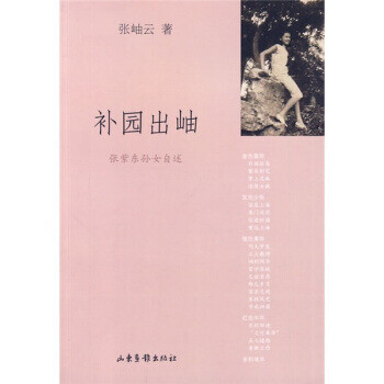 补园出岫 张岫云 著