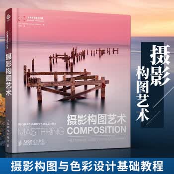 摄影构图艺术 摄影书籍入门教材摄影书人像风光构图轻松学用光教程后期基础数码拍摄摆姿艺术拍