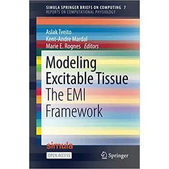 Modeling Excitable Tissue: The EMI Framework (20