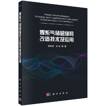 煤系气储层缝网改造技术及应用 科学出版社