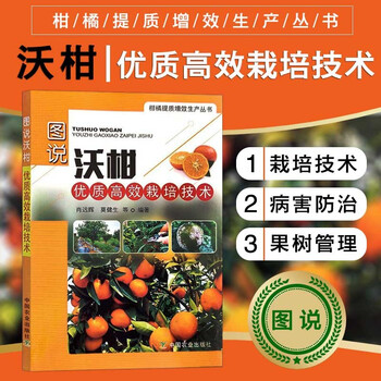 图说沃柑高效栽培技术 柑橘提质增效生产丛书 沃柑柑橘科学种植技术 沃柑选种技巧 沃柑幼树管理坐果管理难疑点解析 沃柑果树修剪病虫害防治技巧详解 芦柑砂糖橘桔子橘子树栽培参考 肖远辉 中国农业出版社
