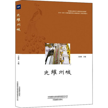光耀州城 图书