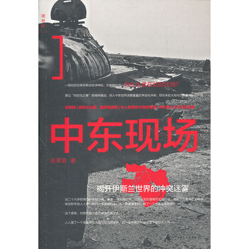中东现场:揭开世界的冲突迷雾