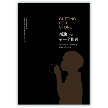 斯通，与另一个斯通 [美] 亚伯拉罕.维基斯