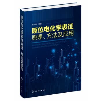 原位电化学表征原理方法及应用(精)
