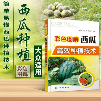 彩色图解西瓜高效种植技术 大棚西瓜种植书籍 棚室西瓜高效栽培 西瓜栽培模式育苗技术 西瓜露地栽培技术 西瓜种植栽培技术大全书籍 西瓜育苗育种教程 西瓜病虫害防治技 水果种植技术书籍 农业书籍