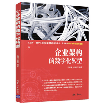 企业架构的数字化转型 于海澜 唐凌遥 互联网 数字化与企业架构的创新性融合 大数据AI中台战略IT架