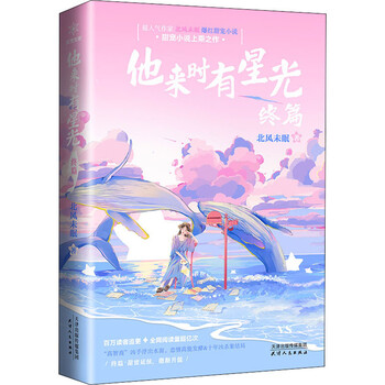 他来时有星光2 终篇