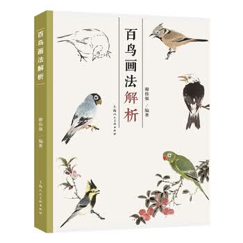 百鸟画法解析