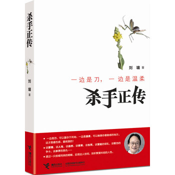 杀手正传