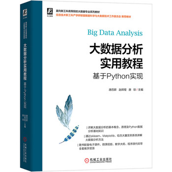 大数据分析实用教程 基于Python实现