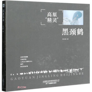 高原精灵黑颈鹤(精)