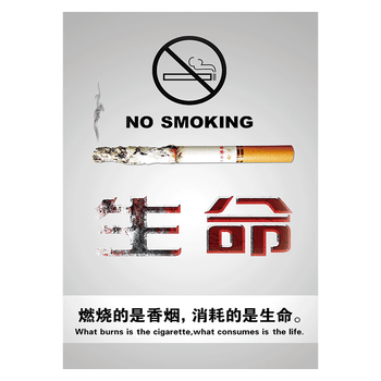 禁烟公益广告文化宣传画挂图标语海报禁止吸烟您已进入无烟场所控烟招贴画覆膜防水贴纸TYH TYH30 禁烟宣传画 60*40厘米 覆膜防水PP贴纸