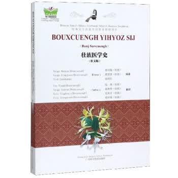 壮族医学史(壮文版) 中国东盟传统医药文库 黄汉儒,黄景贤,殷昭红,陆瑛,黄善才,危英才 广