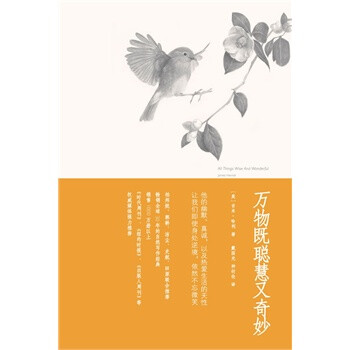 万物既聪慧又奇妙 (英)哈利,戴国光,种衍伦 中国城市出版社