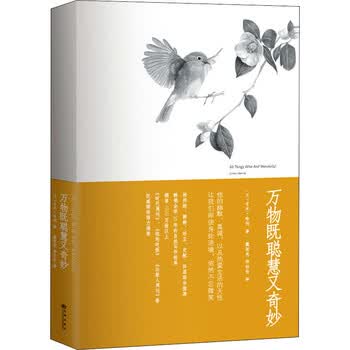 万物既聪慧又奇妙 图书