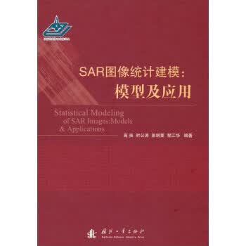 SAR图像统计建模:模型及应用 高贵,时公涛,匡纲要 等 国防工业出版社