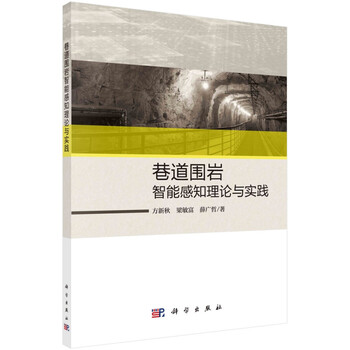 巷道围岩智能感知理论与实践