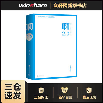 啊2.0 大冰