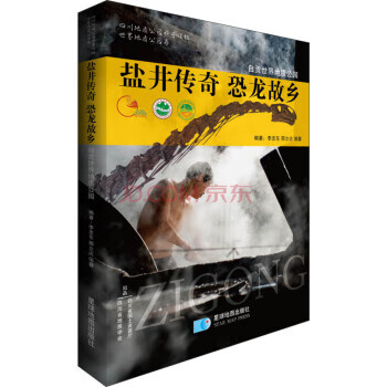 盐井传奇 恐龙故乡