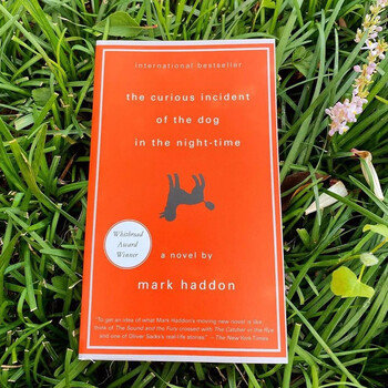 【进口图书】深夜小狗离奇事件英文原版深夜小狗离奇事件英文版The Curious Incident of the Dog in the Night-Time电影话剧小说