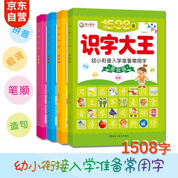 学前识字1200个 识字大王加厚拼音练习幼小衔接教材拼音看图书认知书卡片大全（全4册）