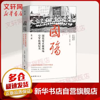 国殇 国民党正面战场空军抗战纪实 第三部