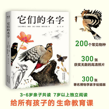 它们的名字 斯特凡.赫德著 给孩子的自然昆虫科普艺术图鉴 青少年课外阅读生命教育课进化的伟大
