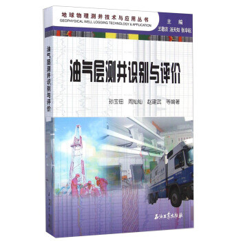 油气层测井识别与评价 孙宝佃,周灿灿,赵建武 等 著,王敬农,汤天知,张辛【正版书】