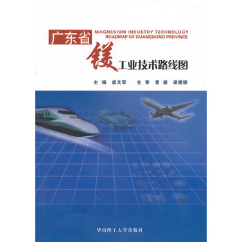 广东省镁工业技术路线图