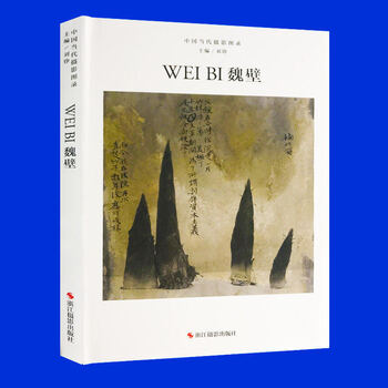 魏壁 中国当代摄影图录 精装版 刘铮著 观念摄影艺术家世界当代摄影大师成名作摄影高清作品集 新纪实摄影书籍k